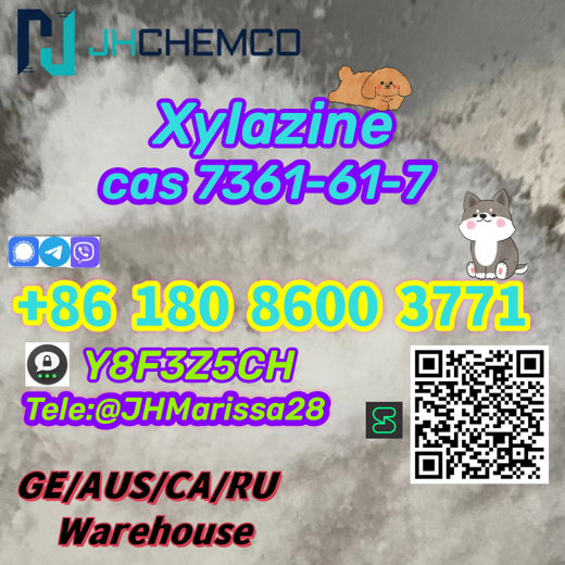 Secured Delivery CAS 7361-61-7 Xylazine Threema: Y8F3Z5CH | Claire Global